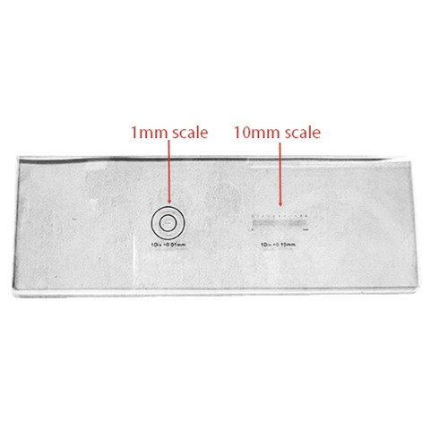 Stage micrometer in mm Stage micrometer in mm